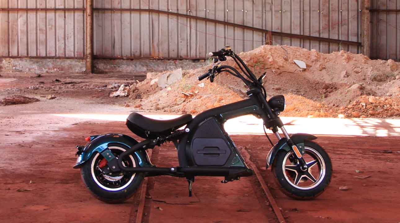 Electric Cruiser Scooter Fat Scooter | LInks Eride