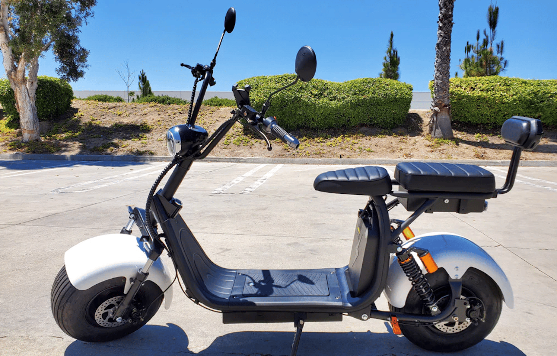 Fat Tire E scooter Motor Scooter for Men | Links Eride