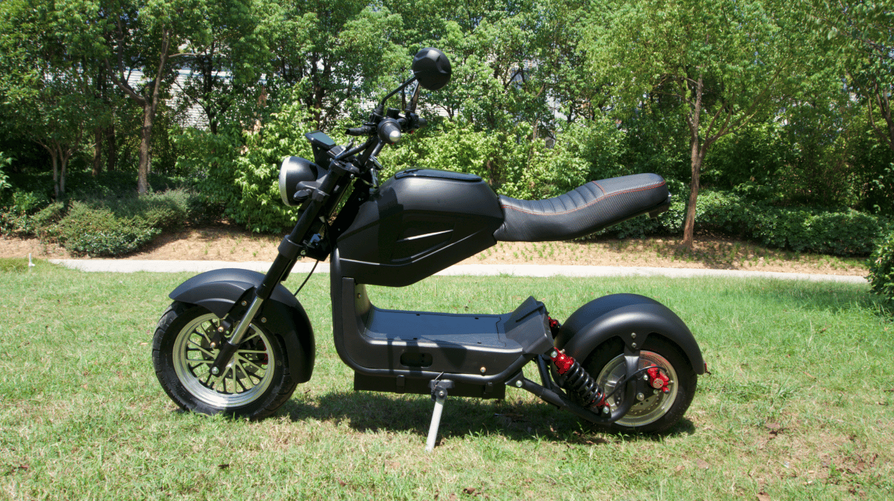 Fat Wheel Scooter Adventure Touring | Links Eride